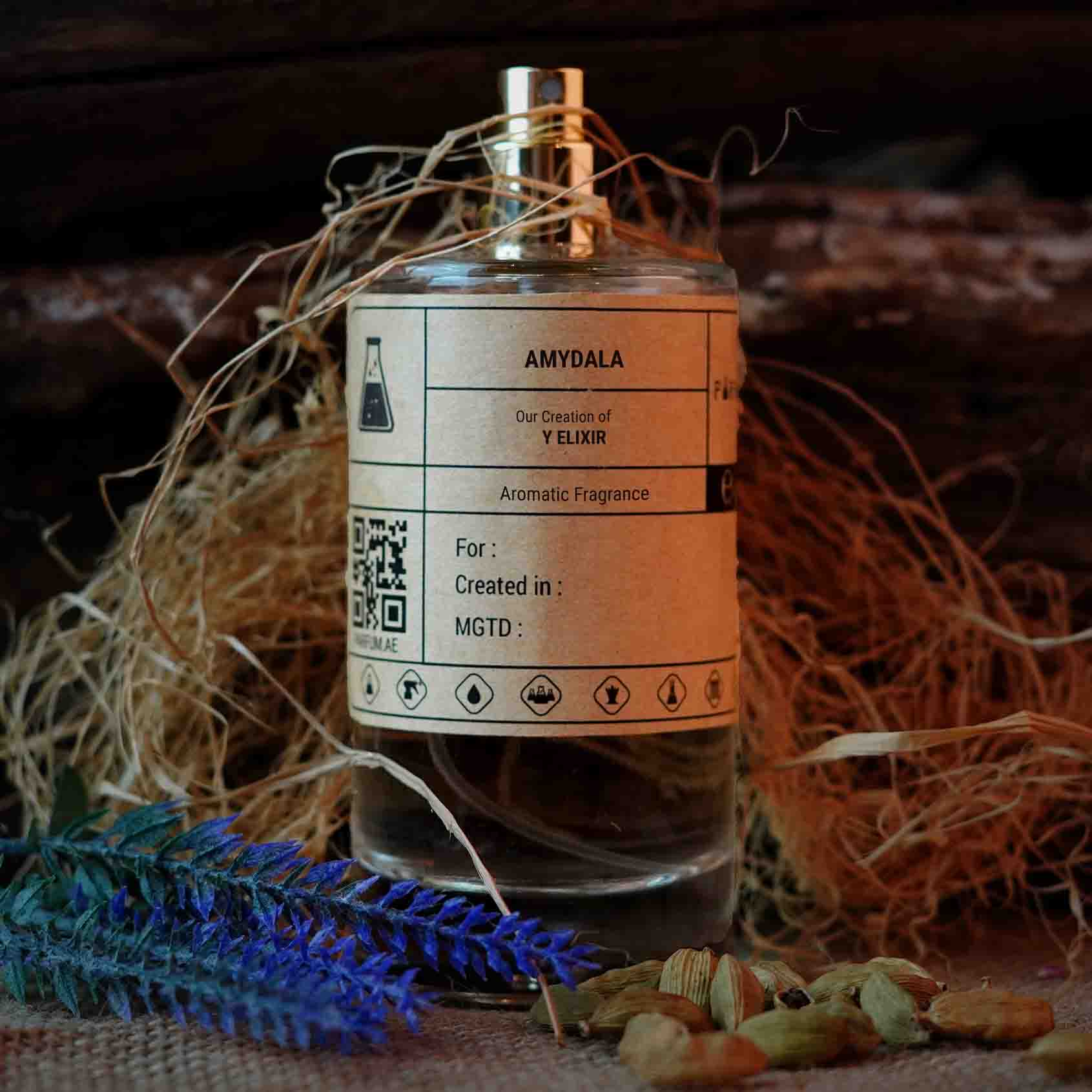 YSL's Y Elixir Perfume - Buy Online UAE | Parfum.ae